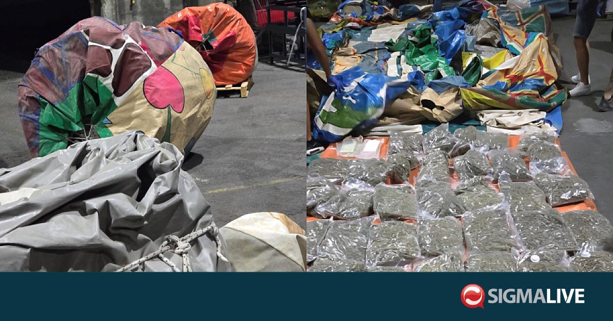 Ενώπιον δικαστηρίου οι 4 που συνελήφθησαν για τα 100 κιλά ναρκωτικών - Sigmalive