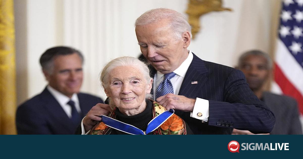 Απεβίωσε σε ηλικία 91 ετών η Τζέιν Γκούντολ, πρωτευοντολόγος και ακτιβίστρια - Sigmalive