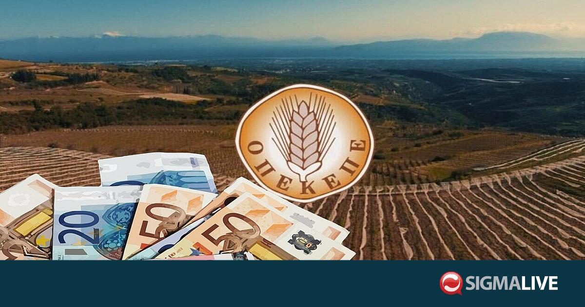 ΟΠΕΚΕΠΕ: Σε κατ' οίκον περιορισμό η πρώην σύζυγος του φερόμενου αρχηγού ...