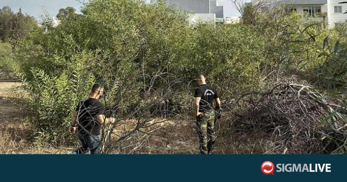 Θρίλερ με τον εντοπισμό επτά πιστολιών – Άφαντα τα υπόλοιπα 12 - Sigmalive