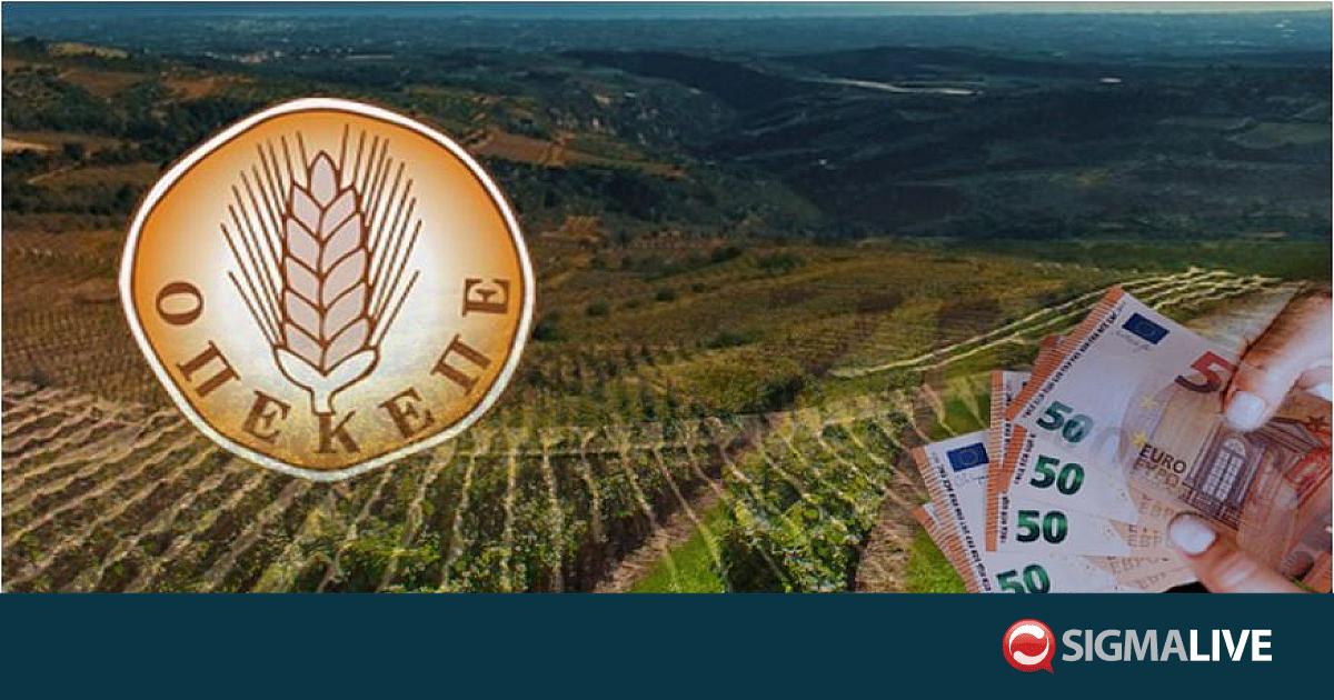ΟΠΕΚΕΠΕ: Επικαιροποιημένο σχέδιο δράσης λειτουργίας προς την Κομισιόν ...