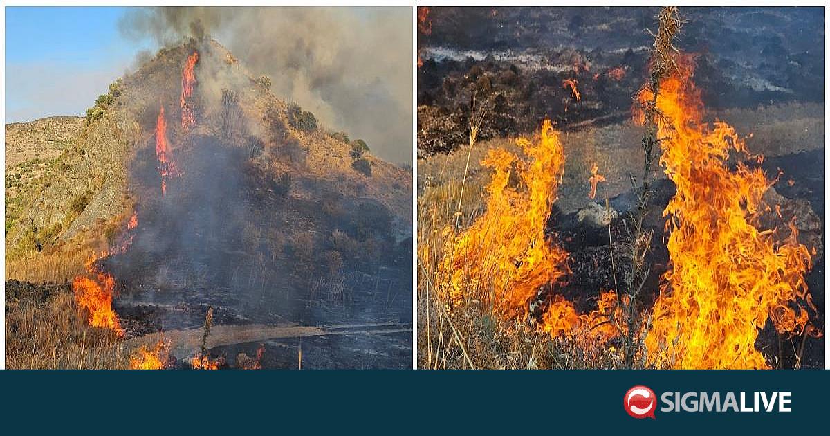 Πυροσβεστικά οχήματα από όλες τις επαρχίες για την πυρκαγιά στην επ ...