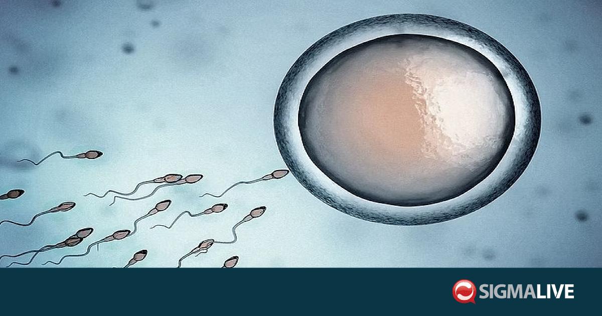 Δανία: Τράπεζα σπέρματος απορρίπτει δότες με IQ κάτω από 85 - Sigmalive