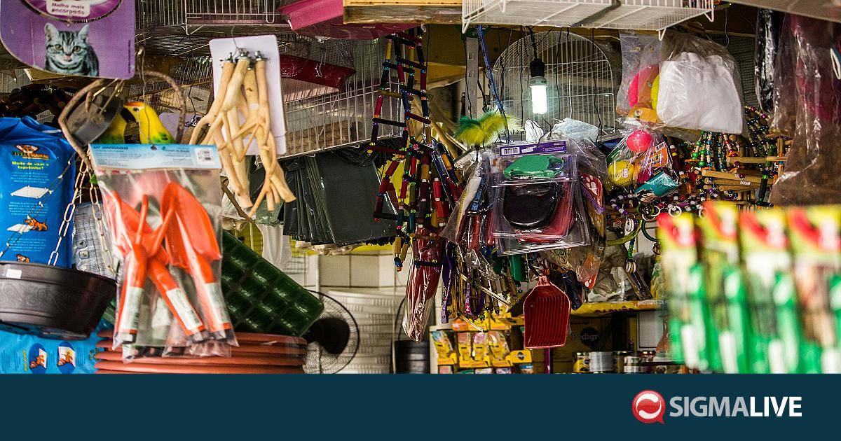 Kόμμα για τα Ζώα: Μόνο 40 από τα 100 pet shops έχουν την απαραίτητη άδεια - Sigmalive