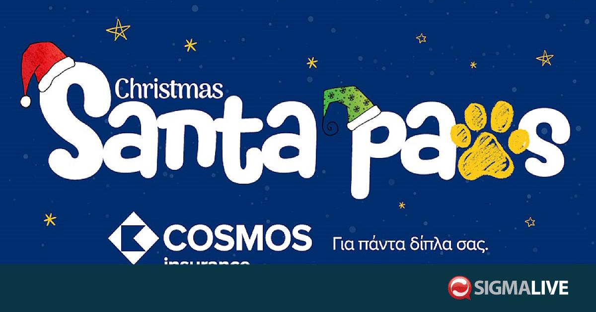 Xmas Santa Paws: Η COSMOS Insurance φέρνει τη μαγεία των Χριστουγέννων ...