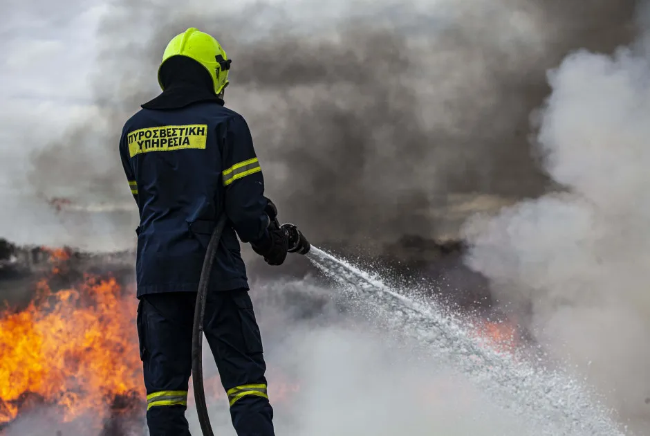Λεμεσός: Ξέσπασε πυρκαγιά σε δασική περιοχή - Κινητοποιήθηκε η ...