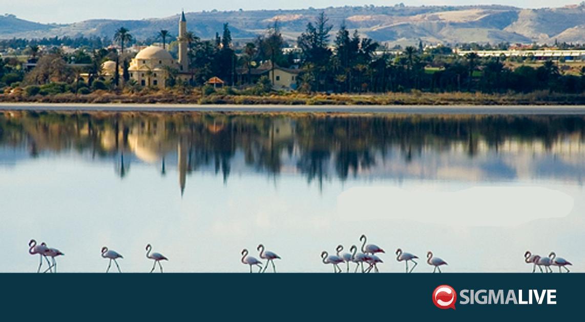 Ενημέρωση μαθητών στις Αλυκές Λάρνακας - Sigmalive