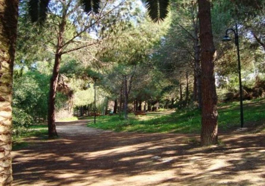 Κλειστός ο χώρος στάθμευσης του Εθνικού Δασικού Πάρκου Ακαδημίας ...