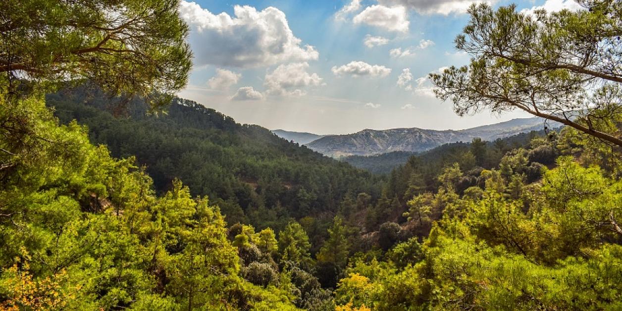 Δίκτυο Natura 2000: Μια ευλογία για τον άνθρωπο και τη φύση - Sigmalive