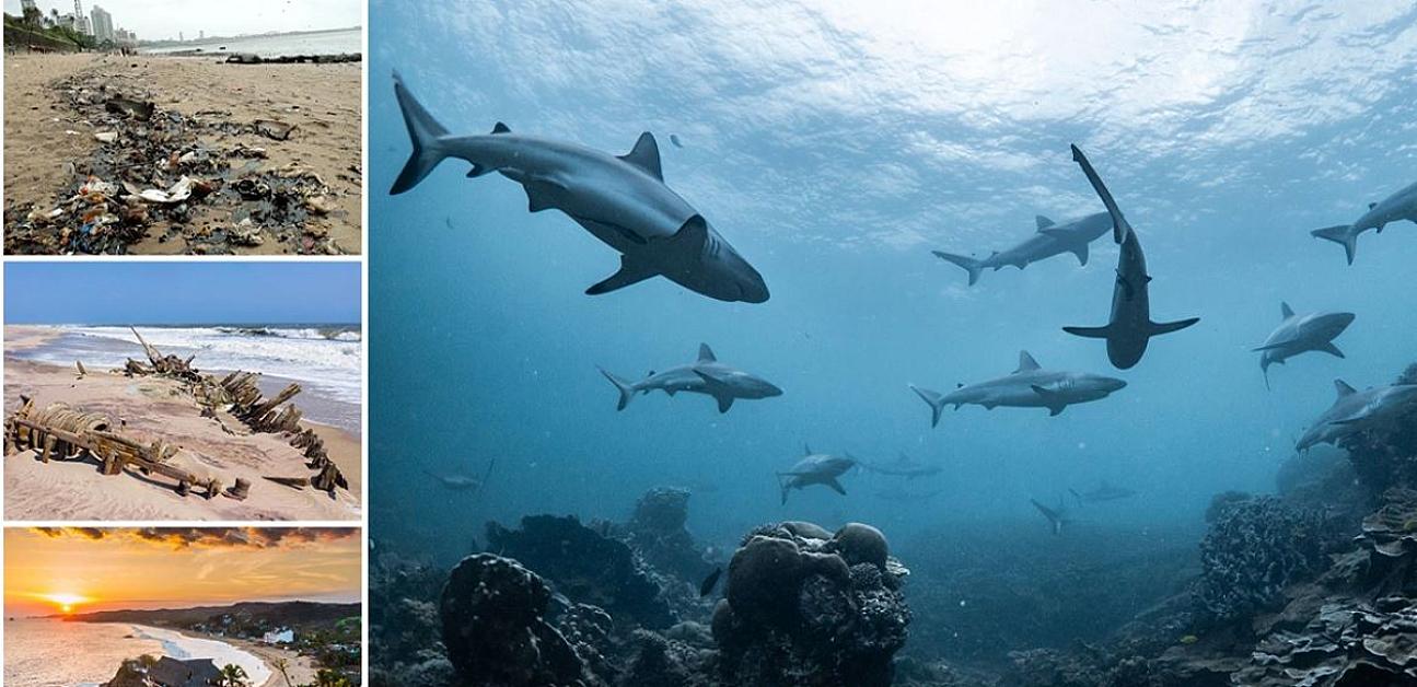 Παραλίες: Αυτές είναι οι δέκα πιο επικίνδυνες του κόσμου - Sigmalive
