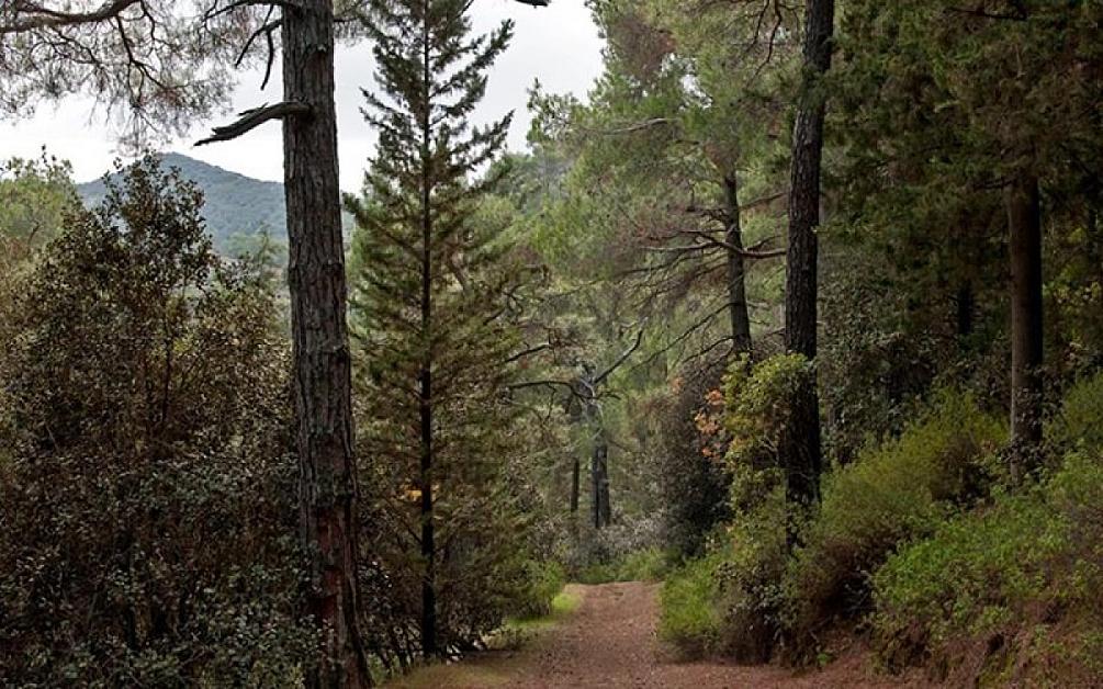 Πήγαν στον Μαχαιρά, έχασαν τον προσανατολισμό τους και εγκλωβίστηκαν - Sigmalive