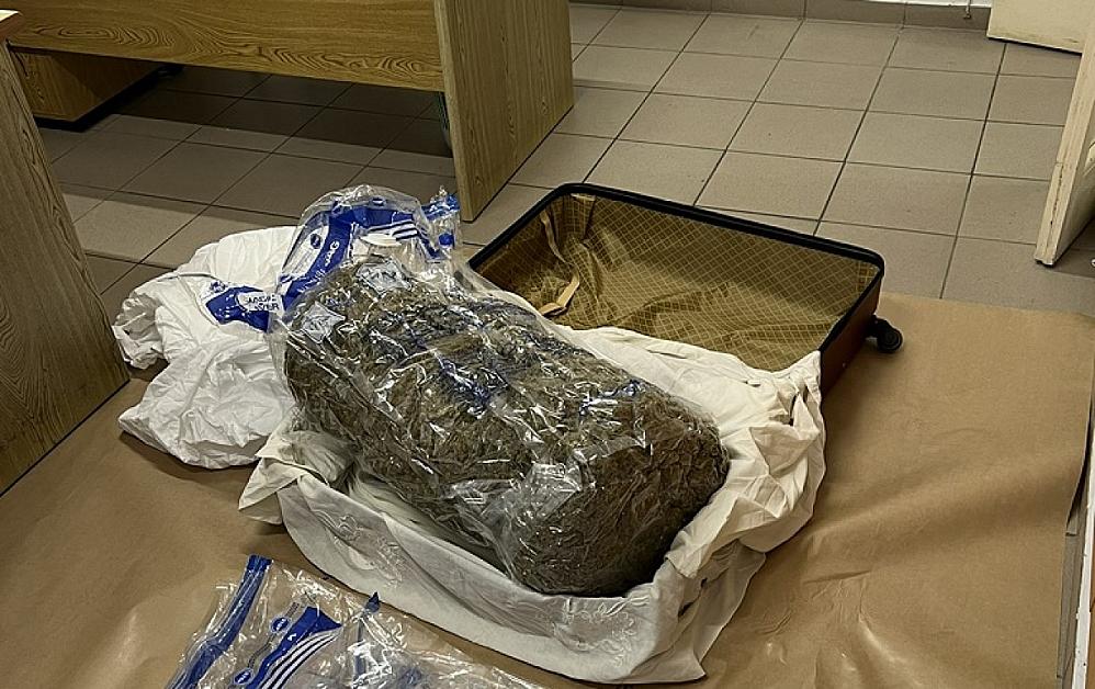 Υπό 8ημερη κράτηση 23χρονος - Έφτασε στο αεροδρόμιο με 13kg κάνναβη (ΦΩΤΟ) - Sigmalive