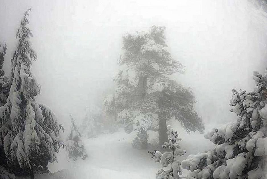 Τρόοδος: Επιτρέπονται οχήματα 4Χ4 ή με αντιολισθητικές λόγω χιονόπτωσης - Sigmalive