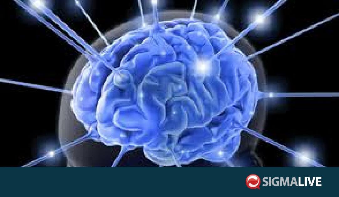 Ο ανθρώπινος εγκέφαλος επεξεργάζεται ταχύτατα τις εικόνες - Sigmalive