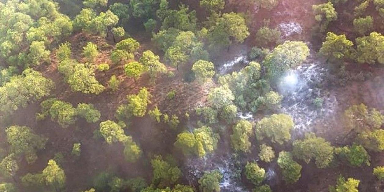 Ολιστική Διαχείριση Νερού στο Εθνικό Δασικό Πάρκο Παιδαγωγικής Ακαδημίας - Sigmalive