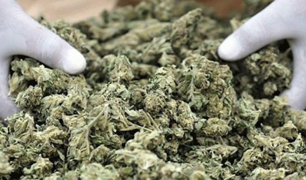 Κατάσχεση 36 κιλών κάνναβης από μέλη της ΥΚΑΝ - Σύλληψη 46χρονου ...