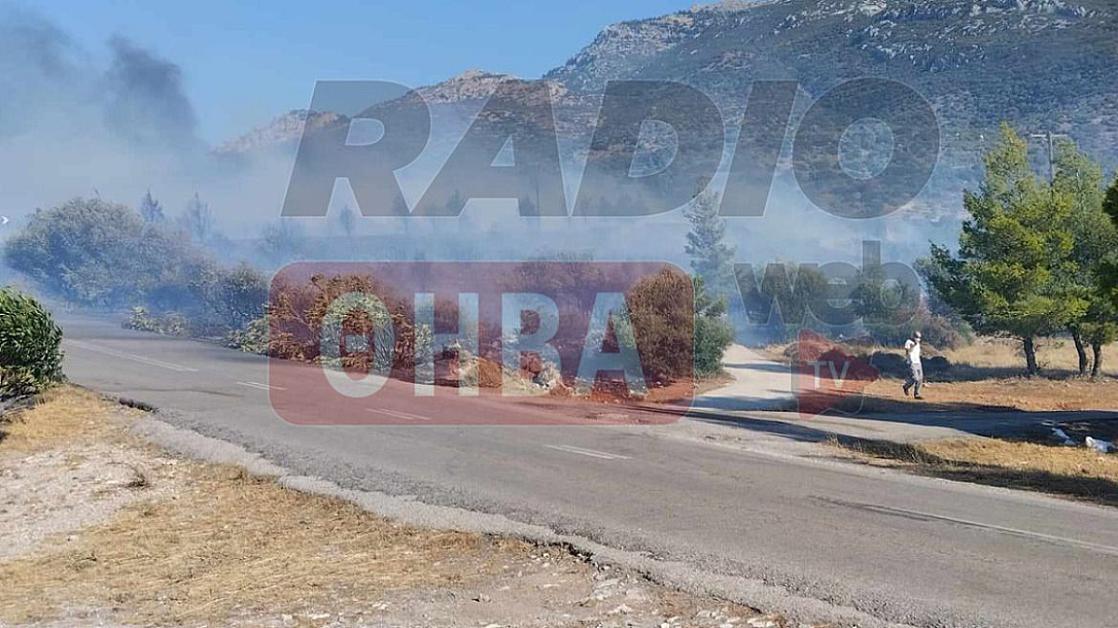 Μεγάλη φωτιά στη Βοιωτία: Εκκενώνεται η παραλία Σαράντη - Sigmalive