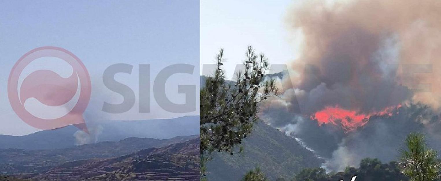 Τμήμα Δασών: Υπό μερικό έλεγχο η φωτιά στη Διερώνα - Sigmalive