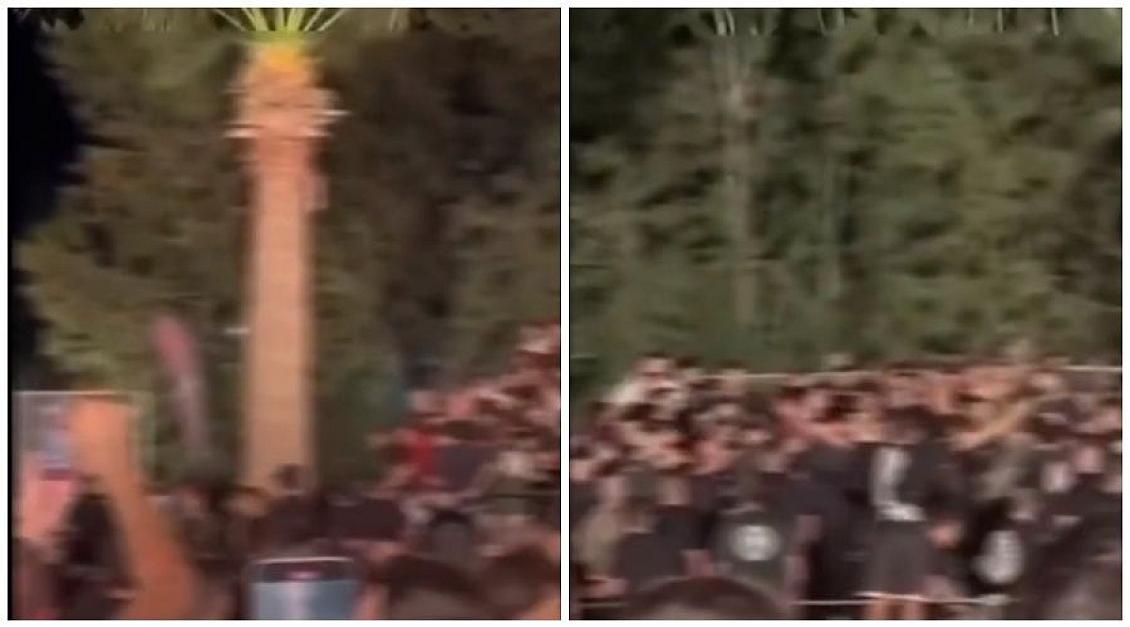 ΒΙΝΤΕΟ: Άγριος καυγάς σε συναυλία στα Λύμπια - Έριχναν βαρέλια - Sigmalive