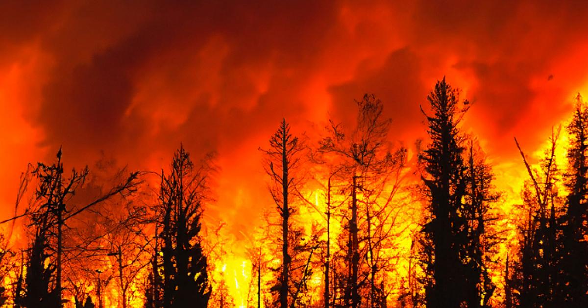 Τενερίφη: Επιδεινώνεται η εικόνα της πυρκαγιάς που είχε ξεσπάσει τον Αύγουστο - Sigmalive