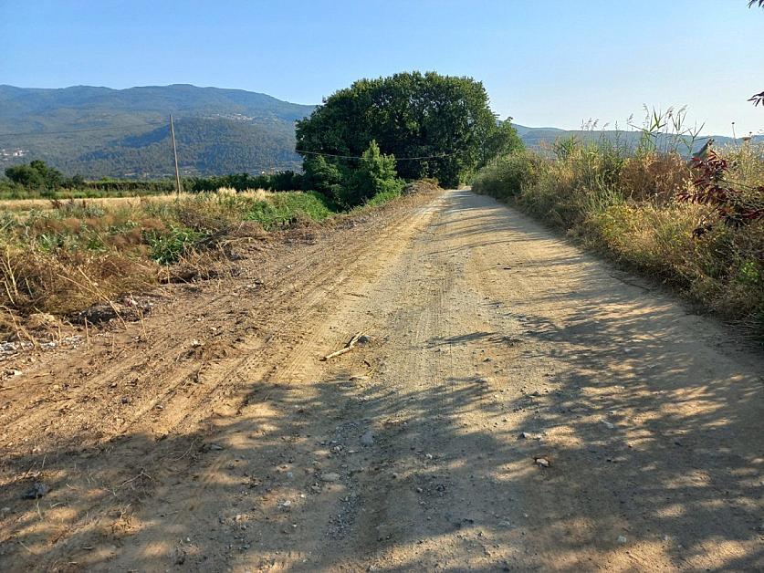 Επ. Διοίκησης: Τριάντα χρόνια για εξέταση αίτησης για αγροτικό δρόμο ...