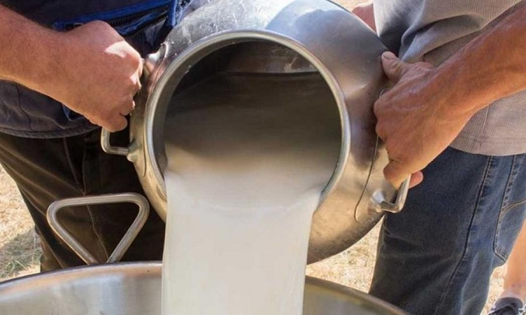 Αγελαδοτρόφοι: Στο Προεδρικό το γάλα αν κλείσουν τα τυροκομεία - Sigmalive