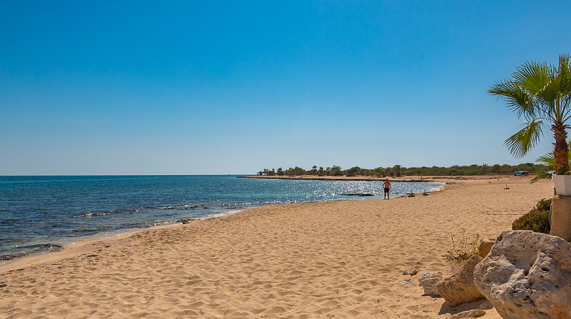 Οι ψύλλοι της άμμου «χτυπούν» σε παραλίες της Κύπρου – Οι συμβουλές - Sigmalive