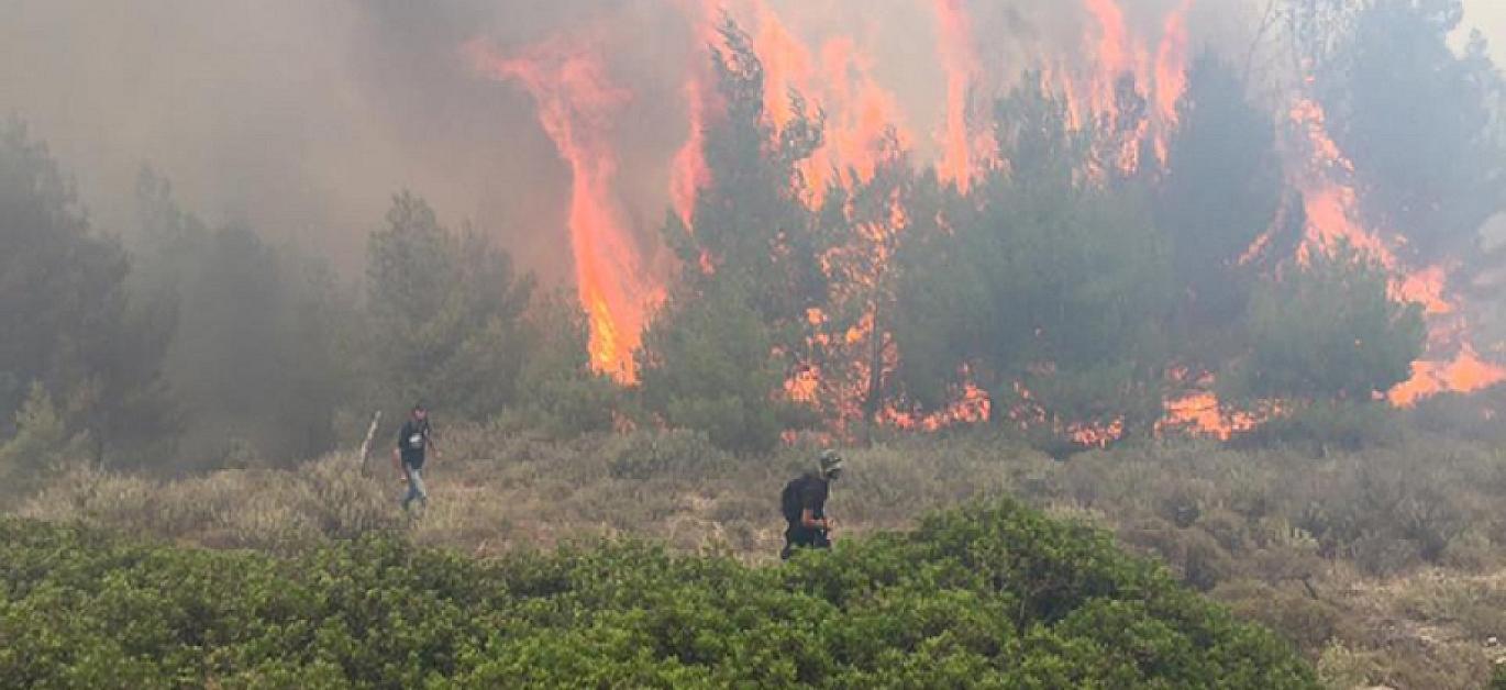 Αναμένεται δύσκολη η φετινή αντιπυρική περίοδος, είπε η ΠτΒ - Sigmalive