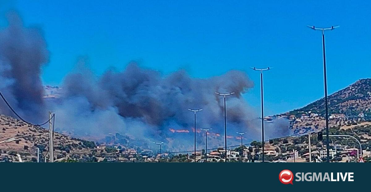 Ελλάδα: Μεγάλη φωτιά στην Κερατέα - Κοντά σε σπίτια, εκκενώνονται 5 οικισμοί - Sigmalive