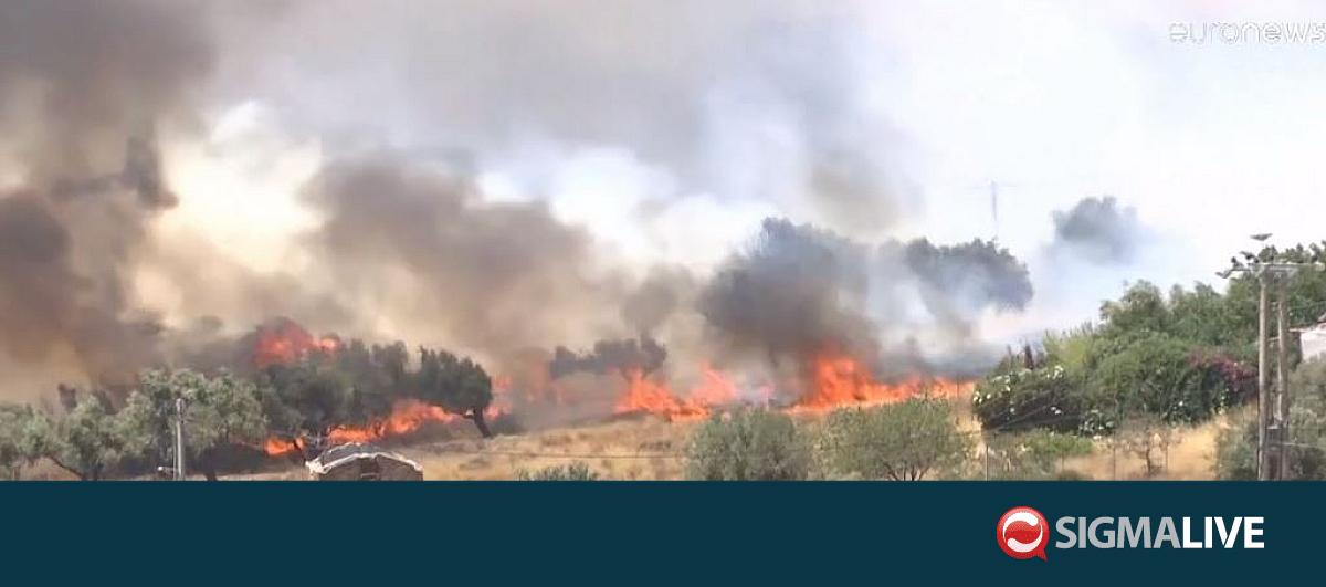 Ανεξέλεγκτη φωτιά στη Σταμάτα: Εκκενώνονται οικισμοί (ΒΙΝΤΕΟ) - Sigmalive