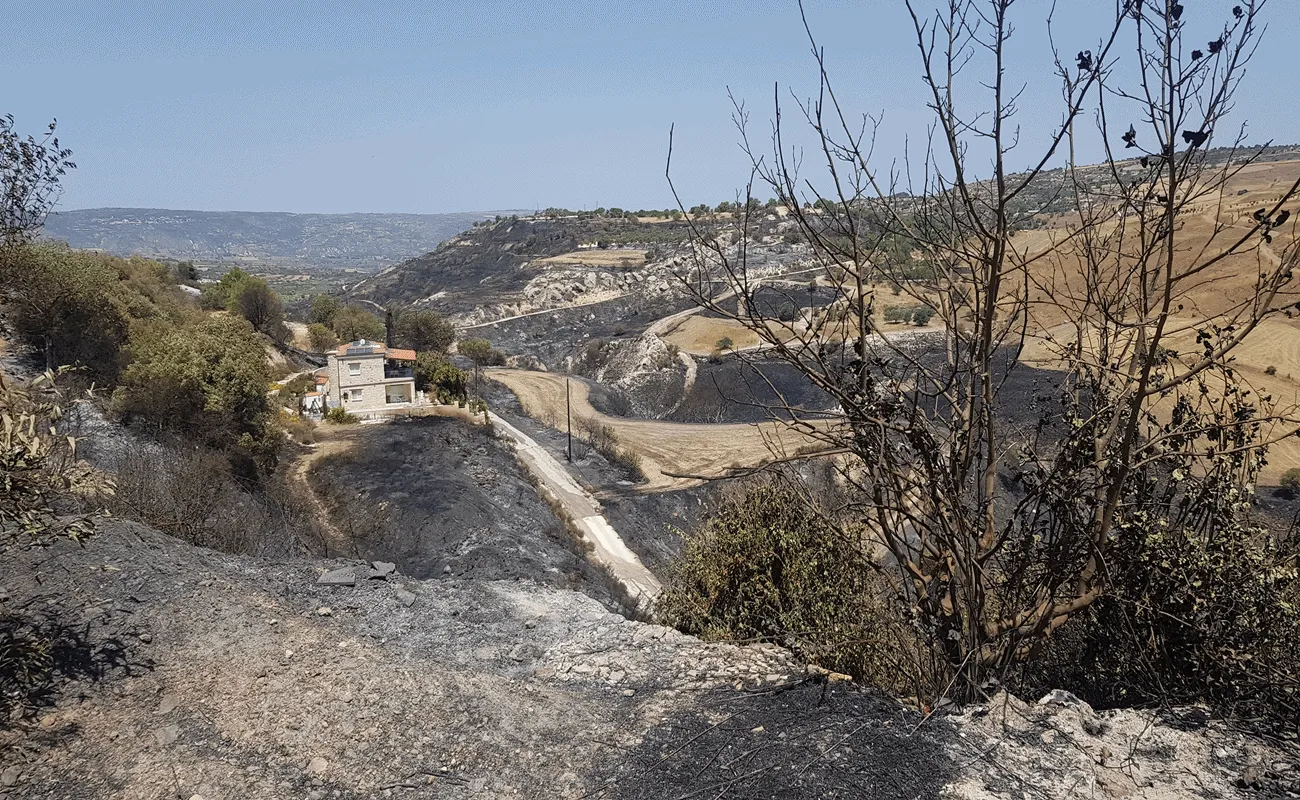 Επιστρέφουν 38 πυρόπληκτοι στη Χούλου - Sigmalive