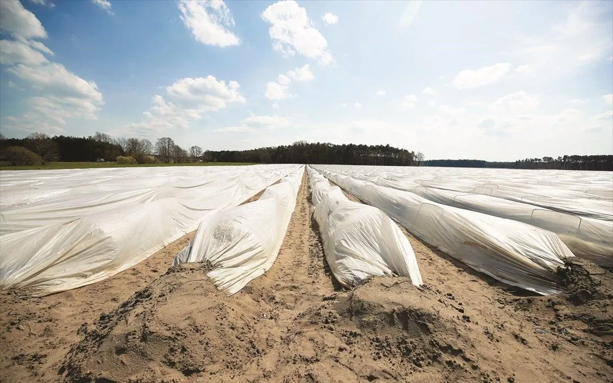 Έγκριση κανονισμών για διαχείριση αποβλήτων πλαστικών γεωργικής χρήσης - Sigmalive