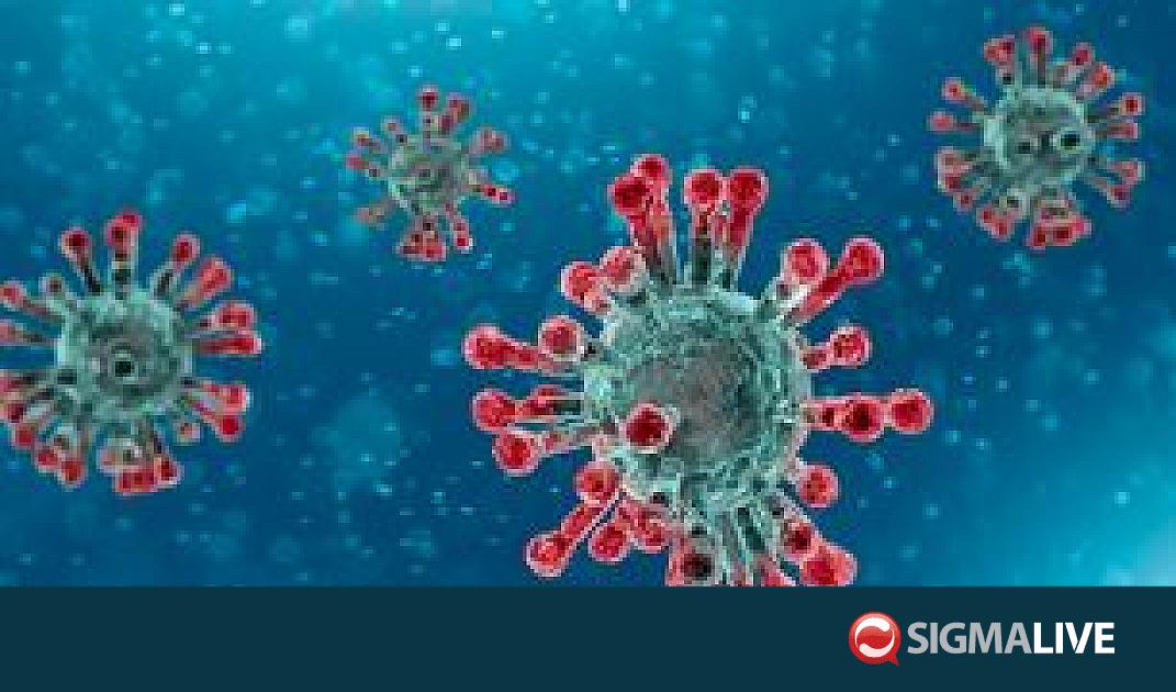 Ευρέως διαδεδομένος στα άγρια ζώα ο ιός που προκαλεί Covid-19 - Sigmalive