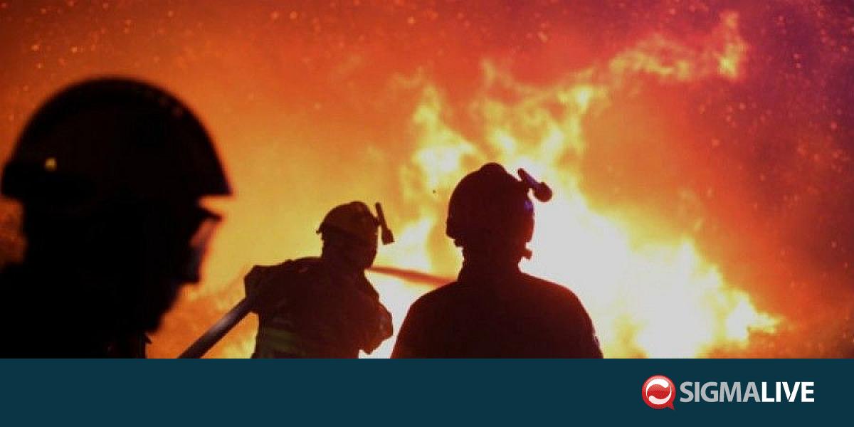 Το Τμήμα Δασών προσέλαβε 118 δασοπυροσβέστες/πυροφύλακες - Sigmalive