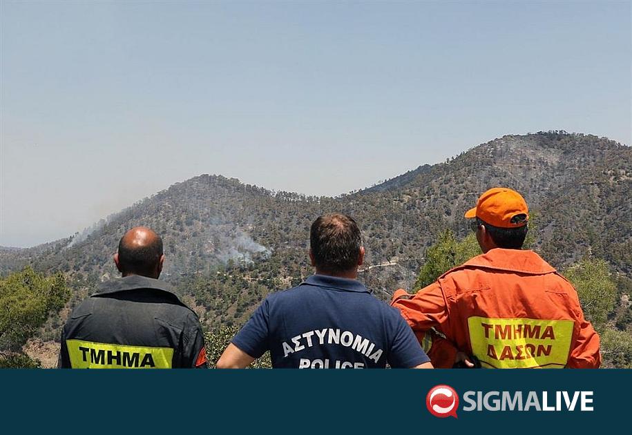 Το Τμ.Δασών ευχαριστεί πολίτες που απέτρεψαν πυρκαγιά-«Παράδειγμα προς μίμηση» - Sigmalive