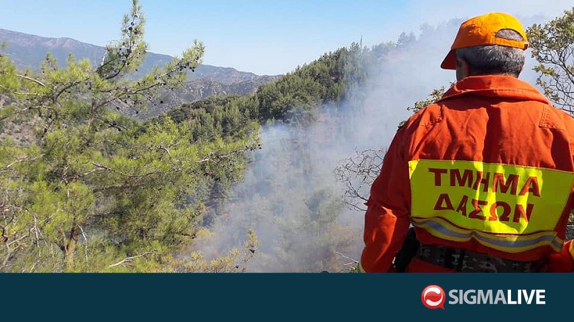 Ξέσπασε φωτιά 20 μέτρα από το Κρατικό Δάσος Κελιών - Τέθηκε κακόβουλα - Sigmalive