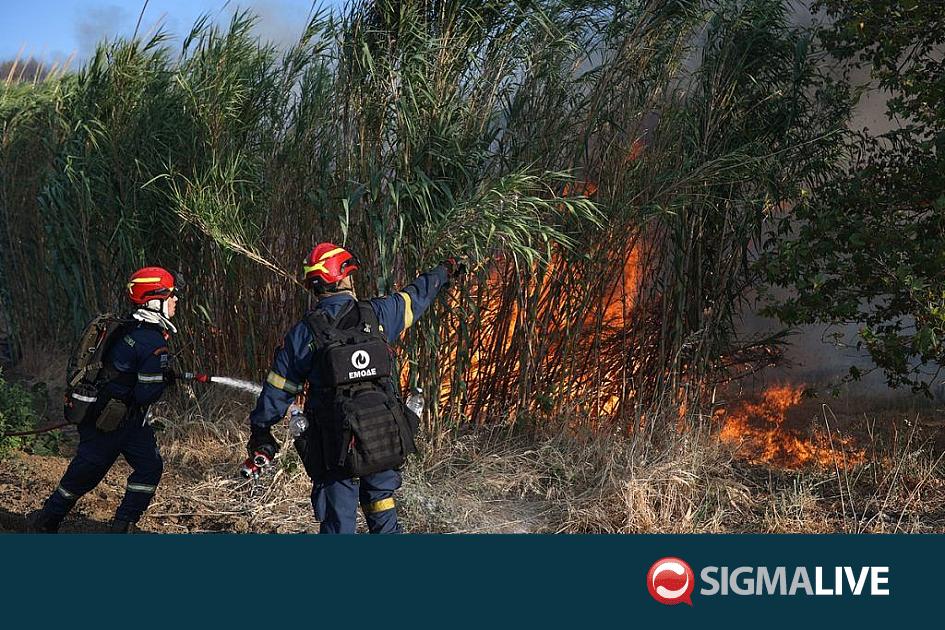 Φωτιά στον Μαραθώνα – Σηκώθηκαν και εναέρια μέσα (ΒΙΝΤΕΟ) - Sigmalive