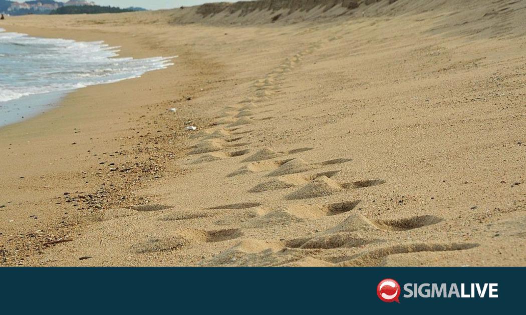 Δανία: Πέθαναν τα δύο αγόρια που είχαν θαφτεί κάτω από αμμόλοφο σε ...