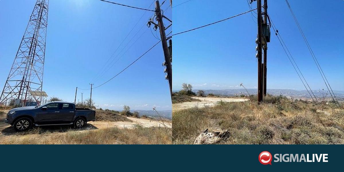 Νεκροί από ηλεκτροπληξία άλλοι 2 γύπες στην Κύπρο- Σκοτώθηκαν τέσσερις το 2024 - Sigmalive