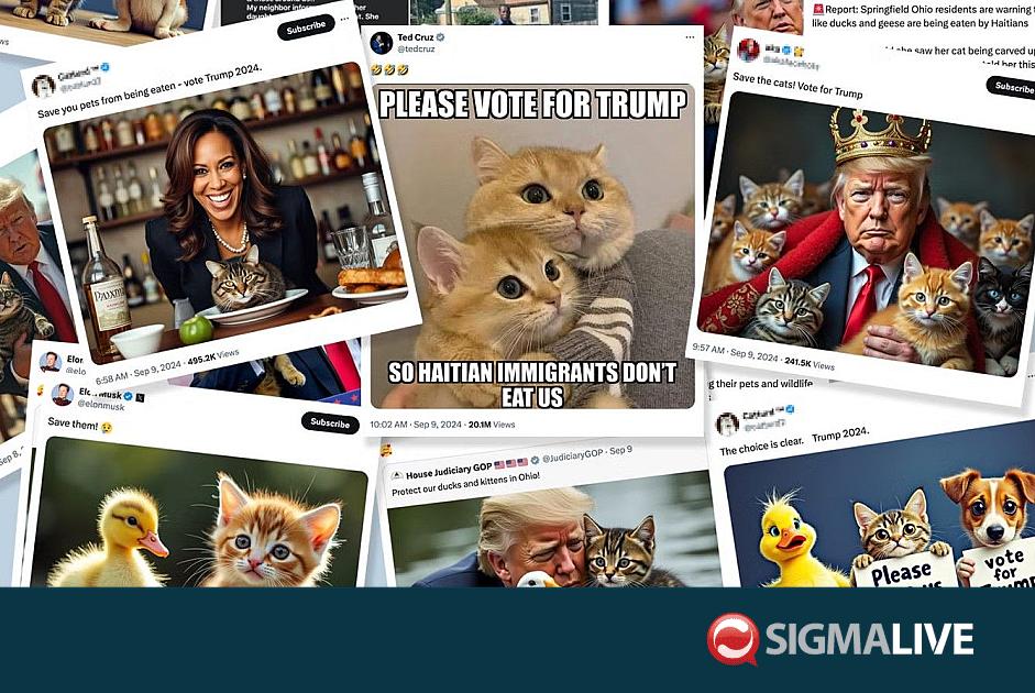 Γάτες και σκύλοι στην προεκλογική μάχη των ΗΠΑ -Τα viral memes σε Χ και TikTok - Sigmalive