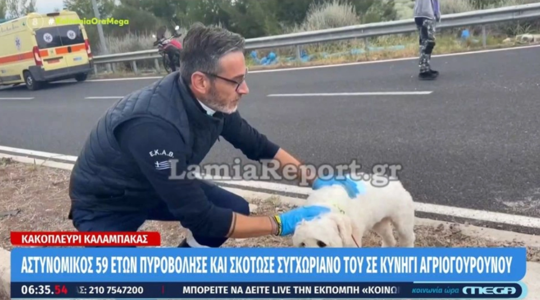 ΒΙΝΤΕΟ: Ο σκύλος του νεκρού οδηγού διασώθηκε και τον περίμενε ...